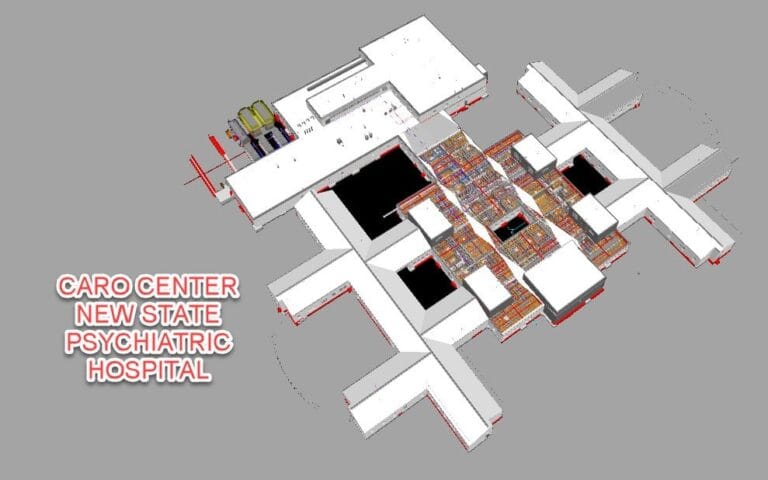 Caro Center Michigan | Pinnacle Infotech